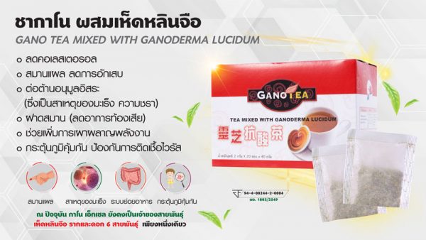 ชากาโน ผสมเห็ดหลินจือ GANO TEA