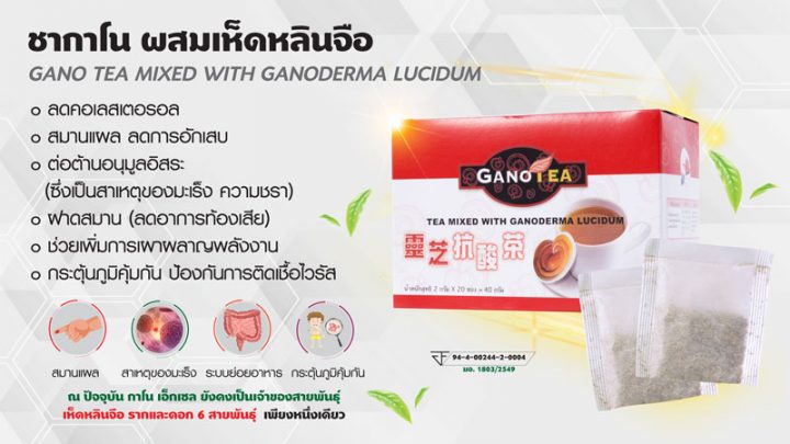 ชากาโน ผสมเห็ดหลินจือ GANO TEA MIXED WITH GANODERMA LUCIDUM | เห็ดหลิน ...